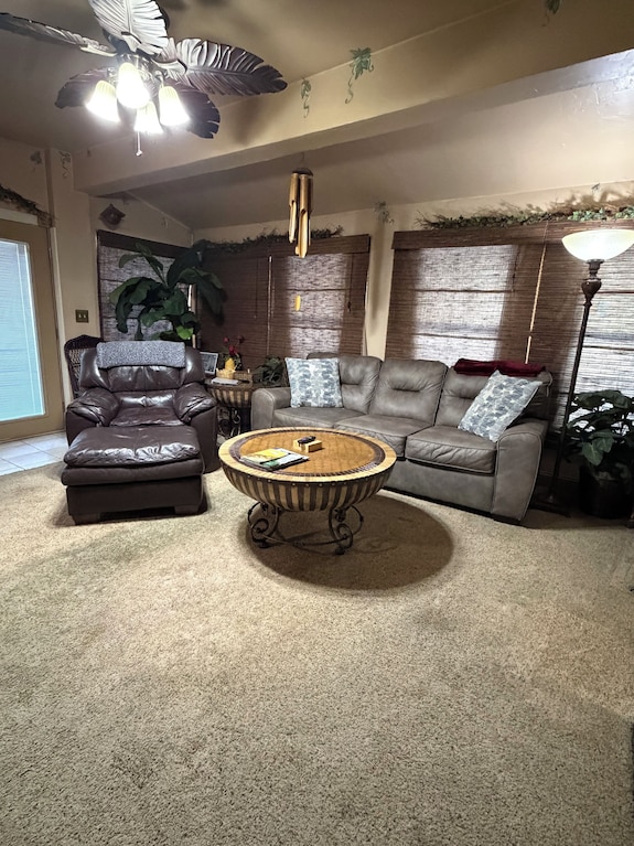 Exotic Safari Suite Just Minutes From Downtown Hot Springs, Ar! - Hot Springs, AR