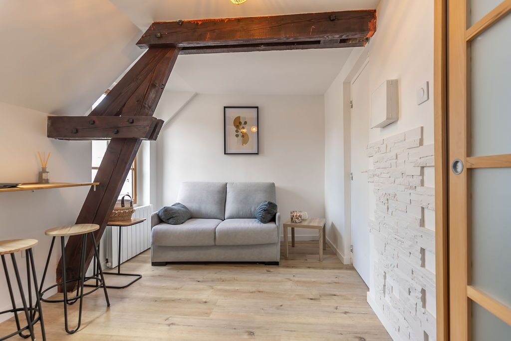 Lappart Des Platanes 2 : Châteaux Et Beauval - Loir-et-Cher