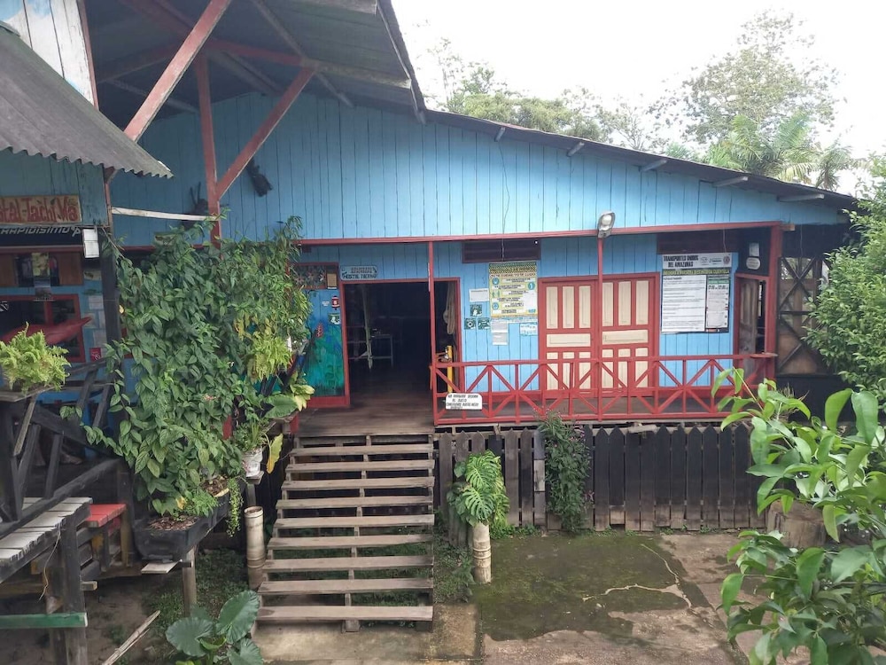 Hostal Tachiwa-hormiga - Amazonas