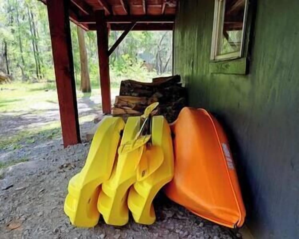 The Knee Knocker On Caddo Lake - Caddo lake