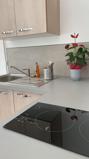 Apartamento clássico, vista para o jardim | Cozinha privada | Chaleira elétrica, mesas de jantar