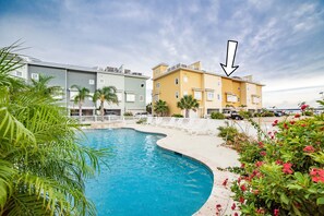 Uma piscina rodeada por palmeiras e uma cerca branca, com edifícios ao fundo.