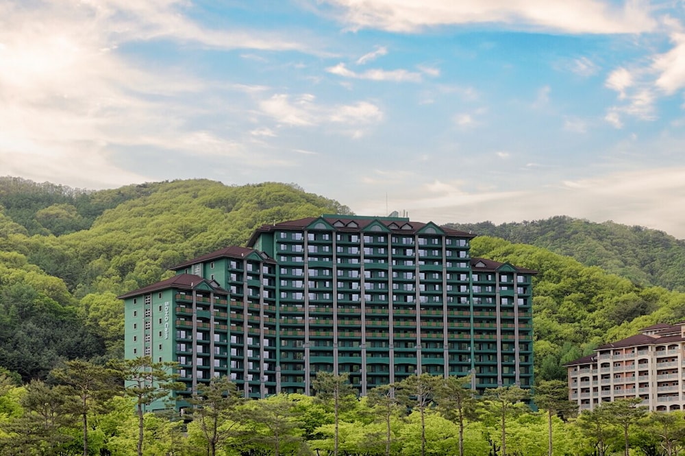 소노캄 비발디파크 - 괴산군