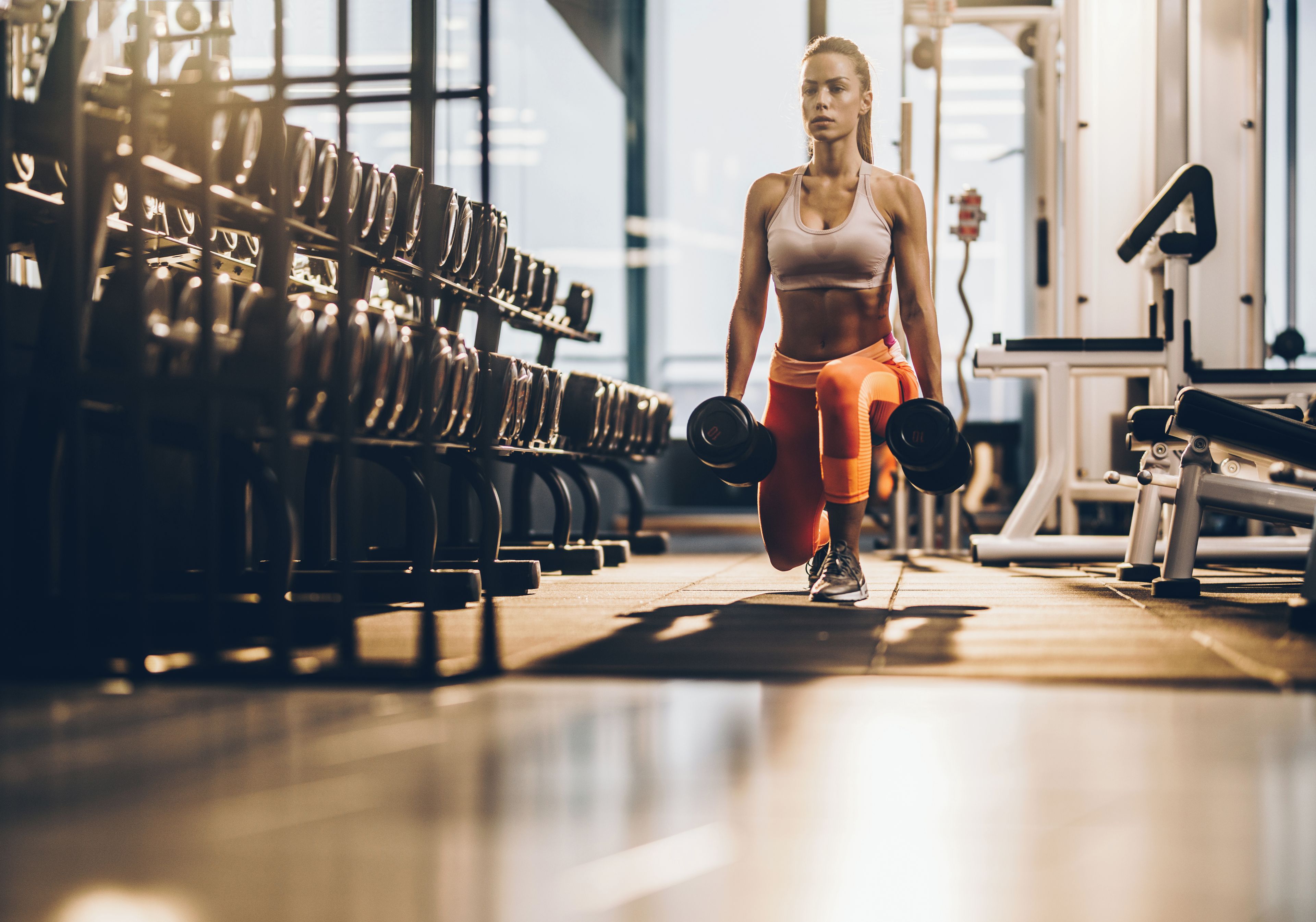 Interior de academia com equipamentos de exercícios, incluindo halteres e bancos.