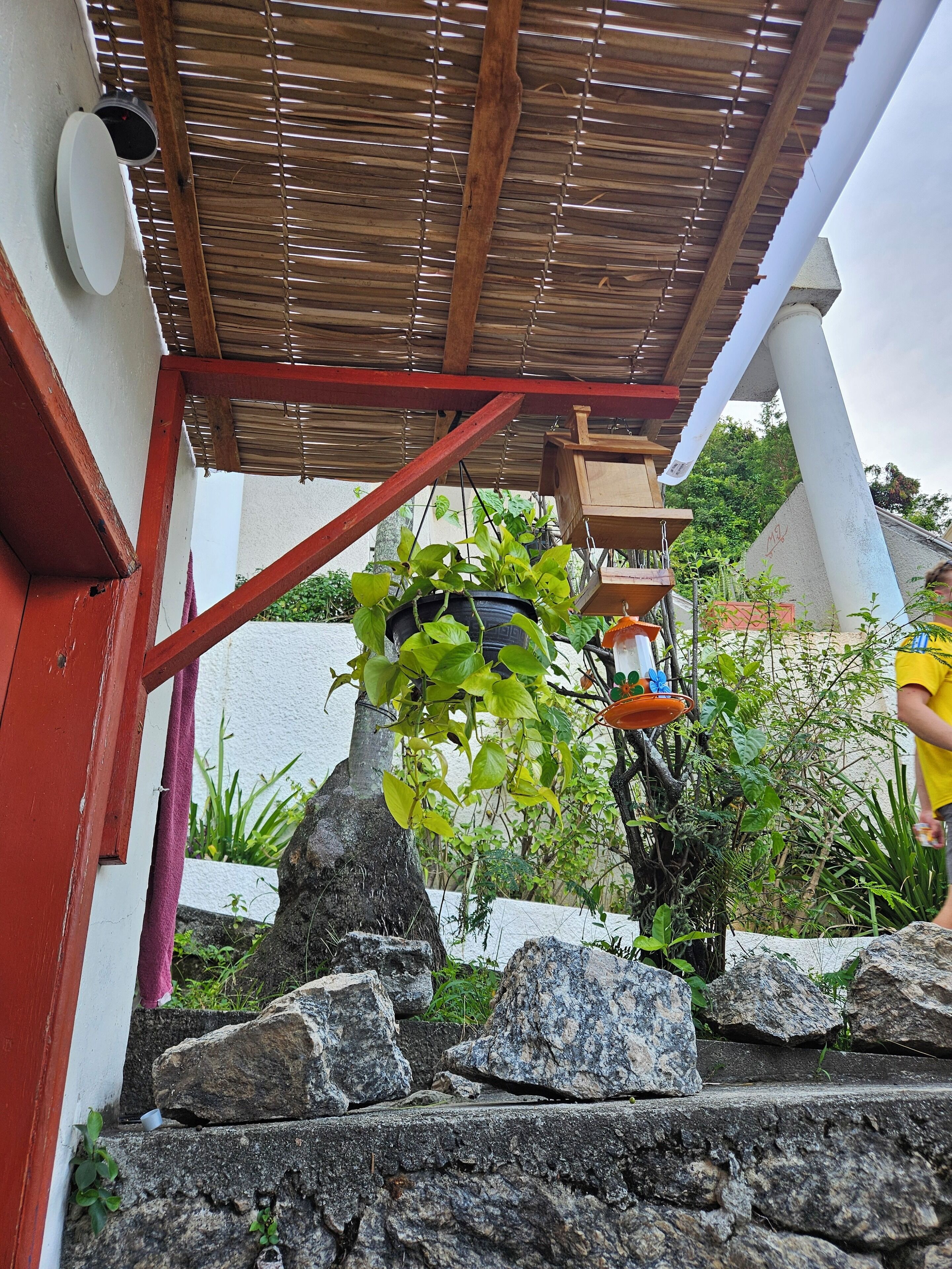 Um espaço ao ar livre coberto com estrutura de madeira, um vaso de planta e uma parede de pedra.