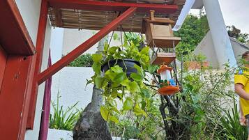 Um espaço ao ar livre coberto com estrutura de madeira, um vaso de planta e uma parede de pedra.