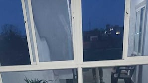 Um conjunto de plantas em vasos numa varanda com vista para edifícios ao fundo.
