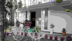 Um edifício com varanda, plantas em vasos e uma bicicleta.