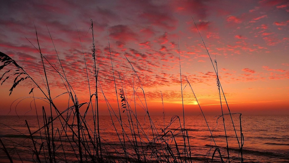 Sea Shell 24 - Indian Shores, FL