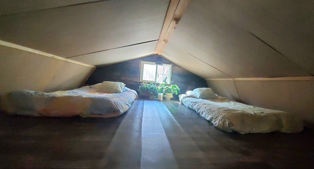 Cozy tiny cabin nested in the trees in a lake community, peaceful ...