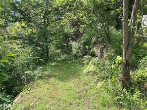 Uma área natural e arborizada com um caminho que leva a uma construção em ruínas.