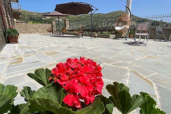 Terraço/pátio