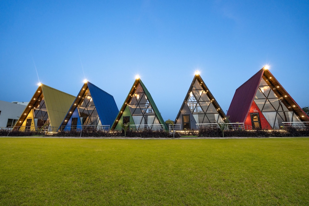 Sunflower Saga - Rajasthan