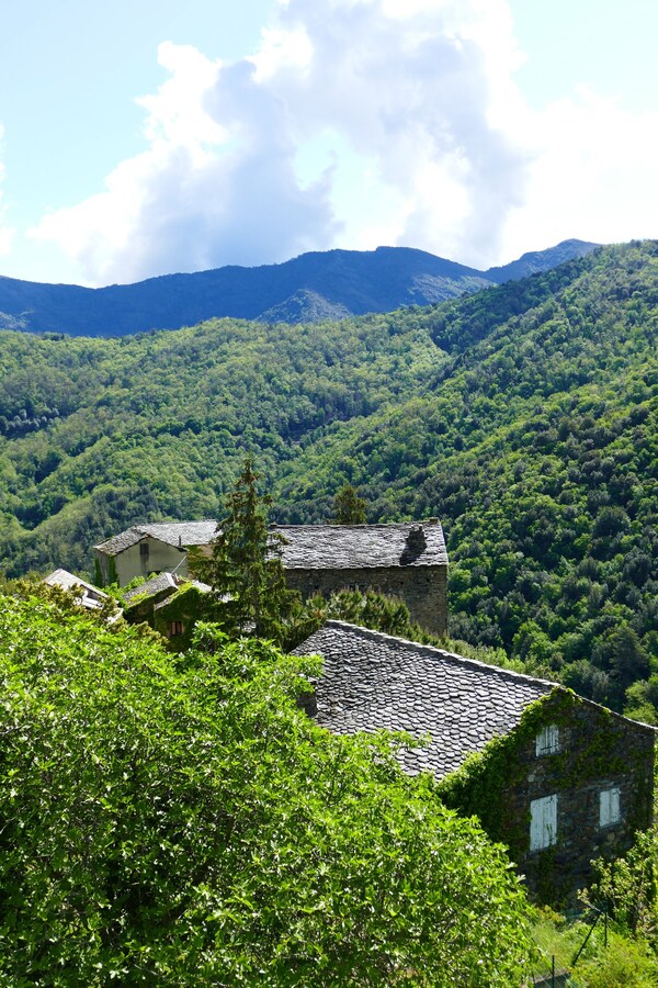 Casa Surgente - Corsica
