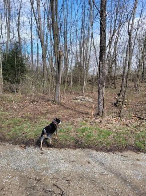 Celtic Glen Farm Stay - Upper Vista\n - インディアナ州