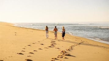 Autocarro grátis para a praia, espreguiçadeiras, guarda-sóis de praia