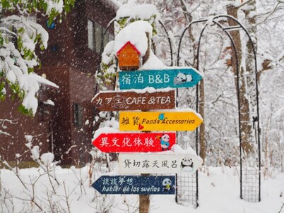 Pension Snowfall Meteor