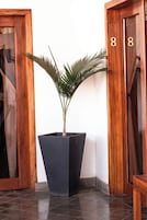 Quarto família | Terraço/pátio