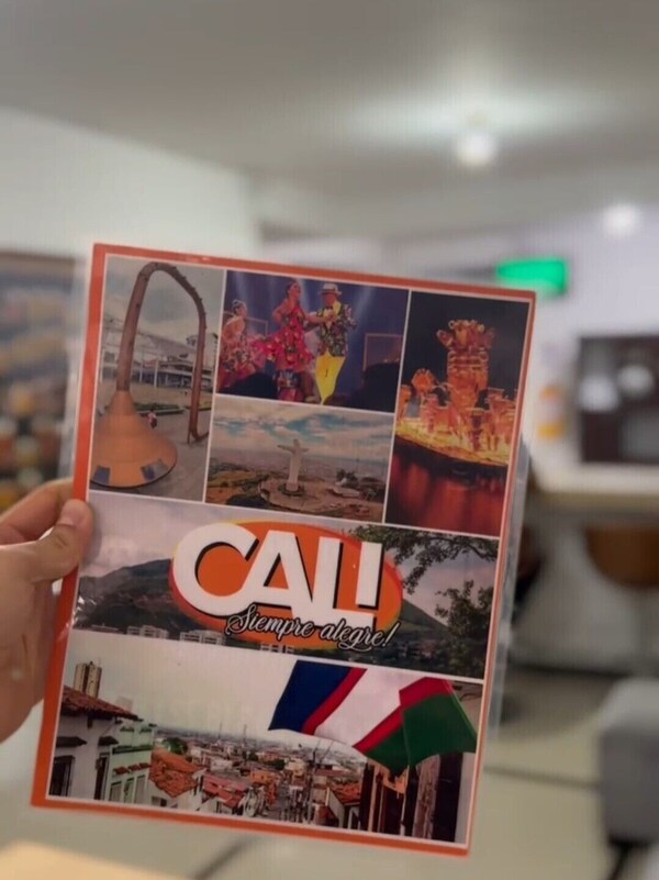 Confort 13-47 - Cali