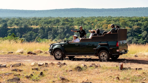 Veículo de safári com passageiros em estrada de terra, cercado por paisagem arborizada.