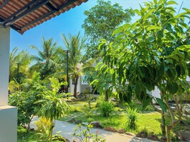 Um jardim bem cuidado, com diversas plantas e um caminho pavimentado.