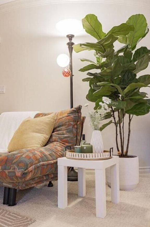 Comfy Home In Heart Of Vancouver--easy Access To Everything - Vancouver