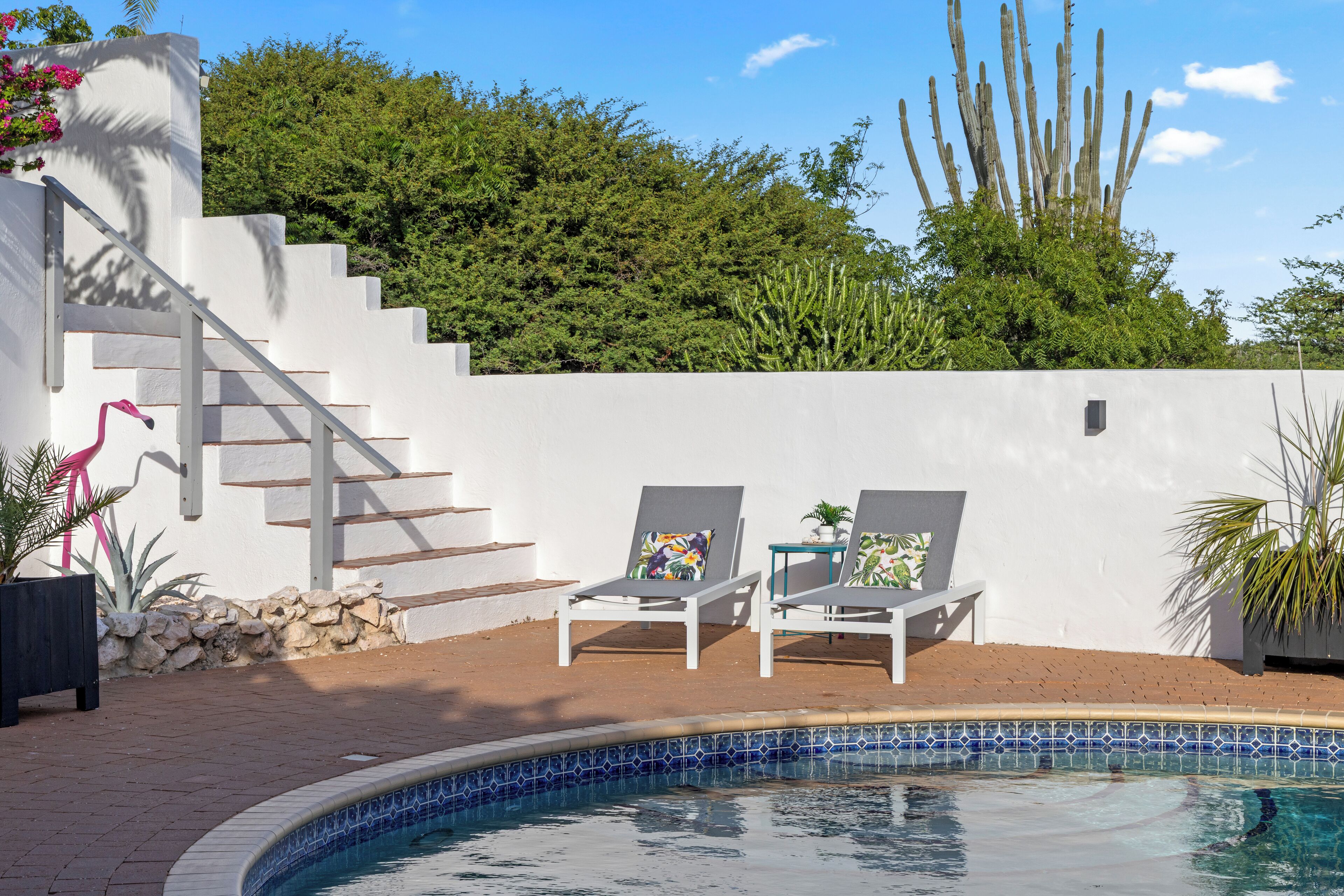 Piscina com duas espreguiçadeiras, escada e parede branca com vegetação ao fundo.