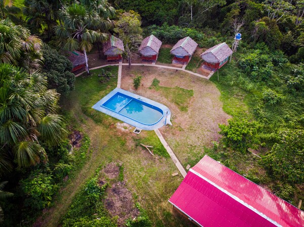 La Casa Del Ayahuasca - Luz Del Amazonas - Amazonas (estado)