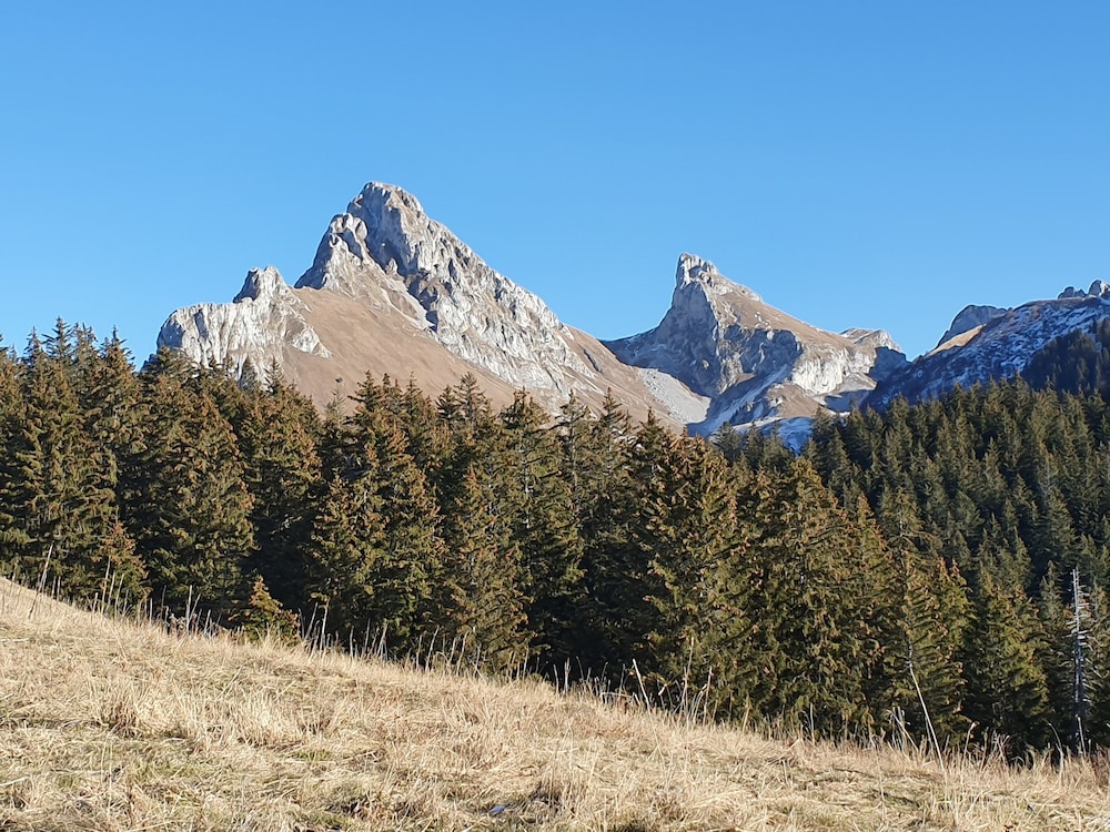 Charmant Studio à La Montagne Dans Les Portes Du Soleil - Lac des Plagnes