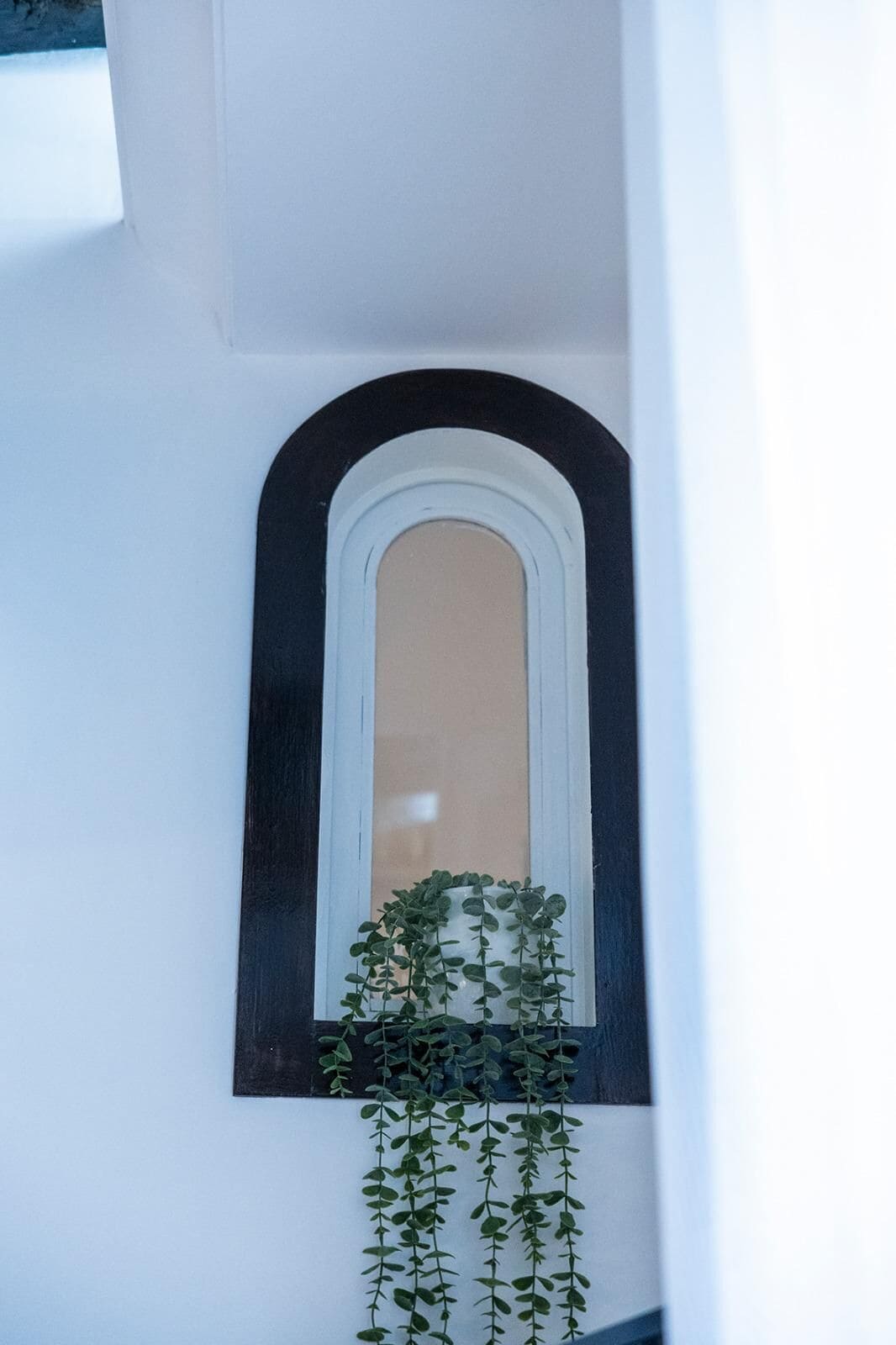 Janela com moldura escura e planta pendurada abaixo.