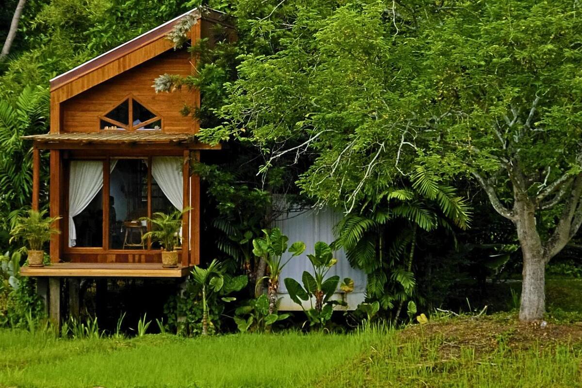 Uma cabana de madeira com varanda, rodeada por vegetação exuberante.