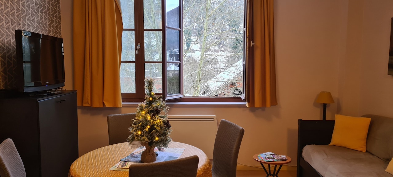 Appartement T2 Le Porteur De Glace Dans Résidence Du Grand Hôtel - Ariège