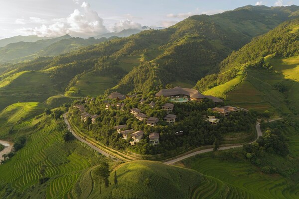 Garrya Mù Cang Chải - Tỉnh Yên Bái