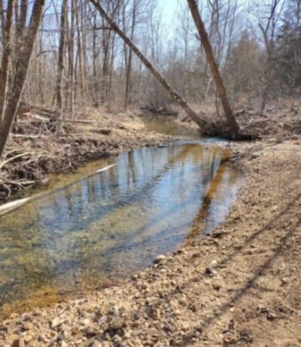 Wanderers End Sanctuary Forest Farm & Village Co-op - Missouri