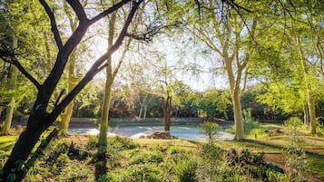 Villa de Luxo | Vista para o jardim
