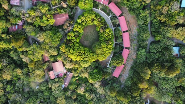 Elida Lodge Monteverde - Monteverde