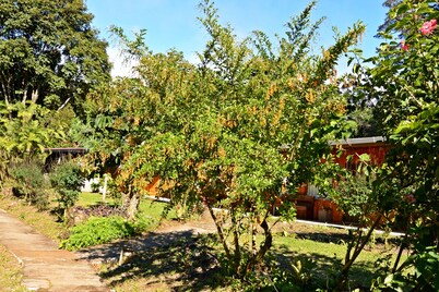 Elida Lodge Monteverde