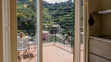 Apartamento conforto, vista para o vinhedo | Terraço/pátio
