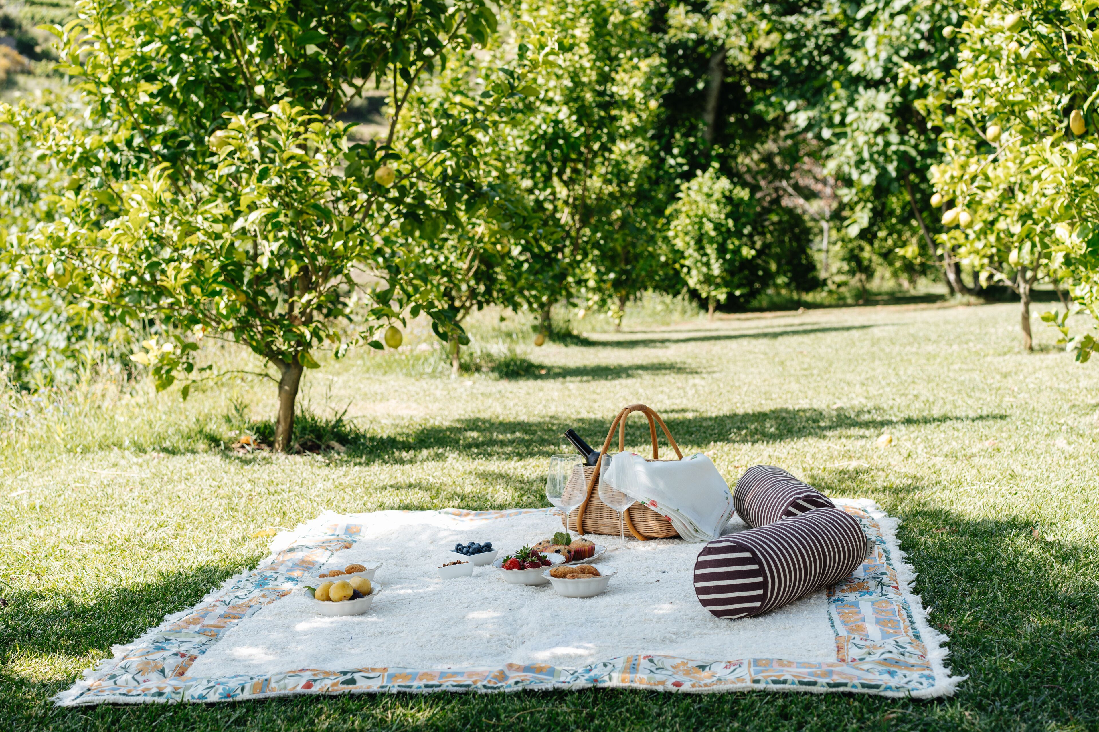 Um piquenique montado com comida e uma cesta sobre uma toalha em uma área gramada com árvores.