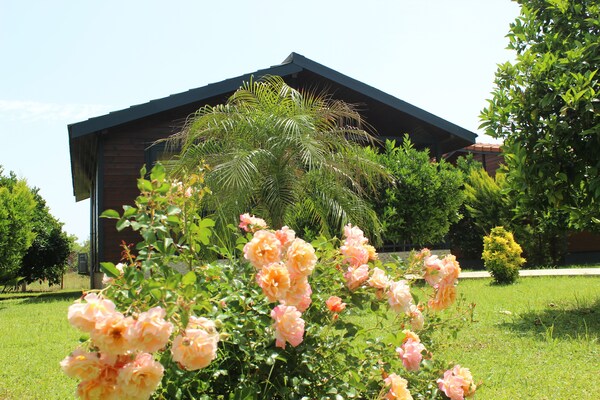 Cirali Villas Hotel Pansiyon - Çıralı