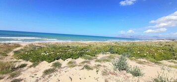 Paisagem costeira com praia arenosa, vegetação verde e céu azul límpido.