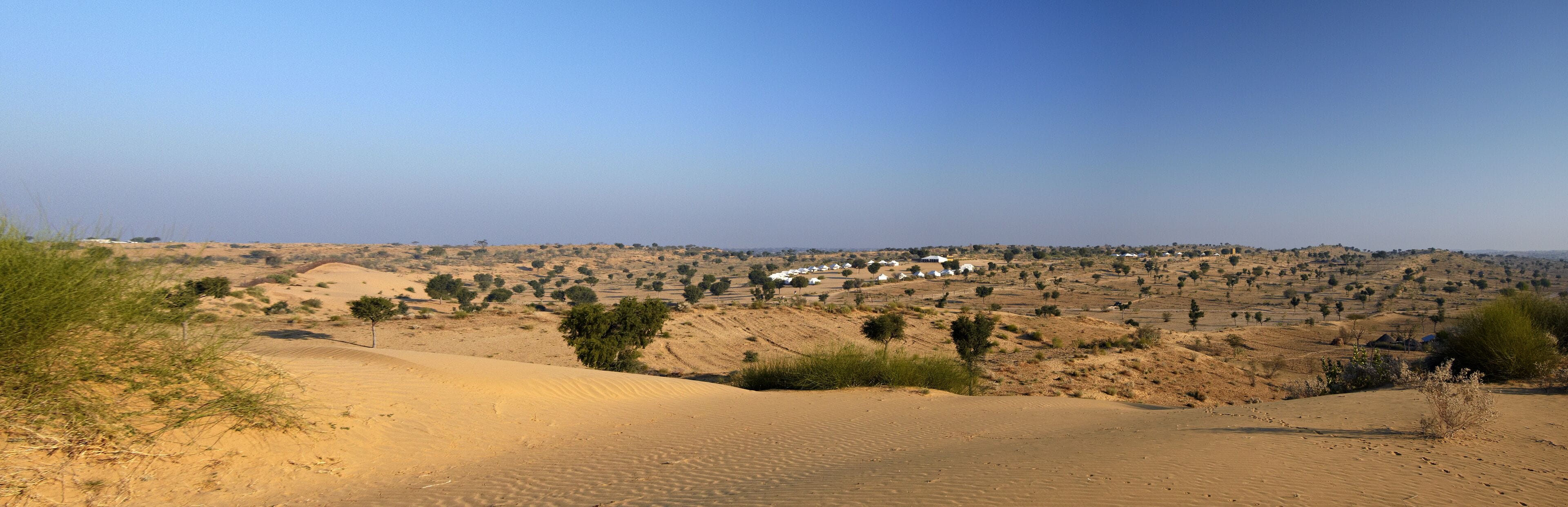 Paisagem desértica com dunas de areia e vegetação rala.