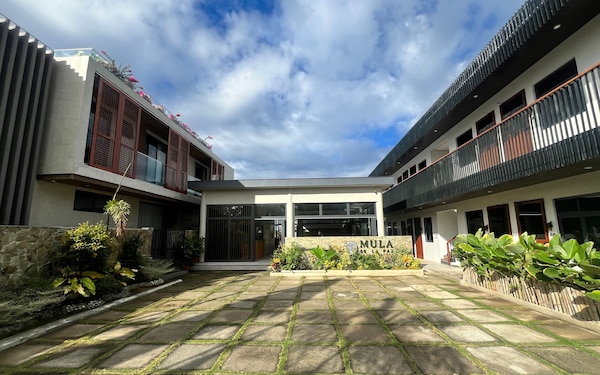 Mula De La Paz - San Narciso