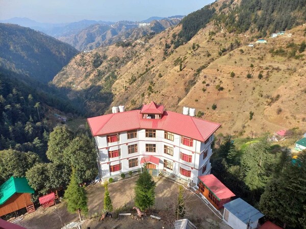 The Jungle Story - Shimla | By Headquarter - Kufri