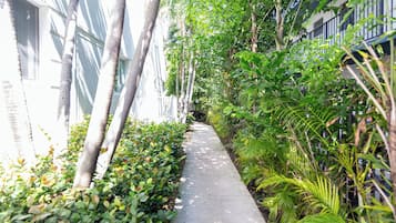 Jardim