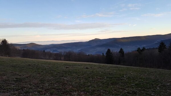 Le Bouton D'or - Orbey