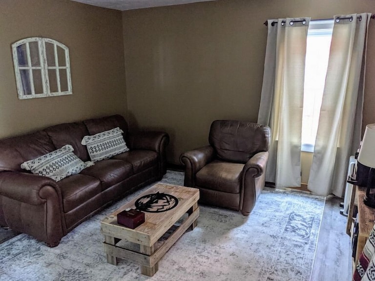 Rustic Recreational Paradise On The Tug Hill\nenjoy This 4 Bedroom Home!! - 哥本哈根