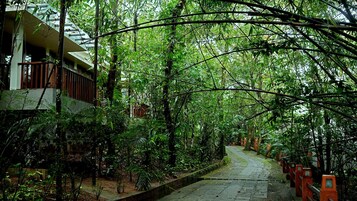 Um caminho cercado por densa vegetação de bambu que leva a um edifício com fachada branca e grades de madeira.