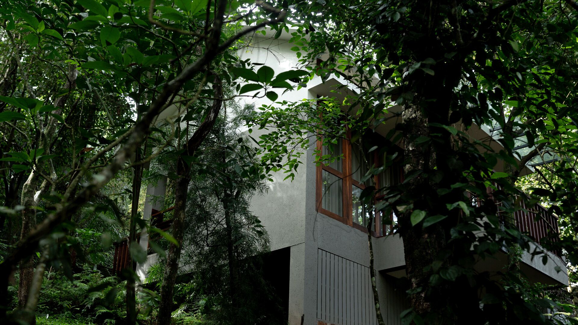 Edifício parcialmente escondido por folhagem densa.