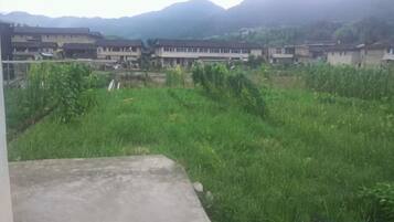 Um bairro residencial com casas e um campo gramado.